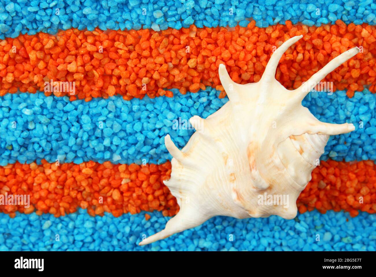 Shell on colorful crystals of sea salt background Stock Photo - Alamy