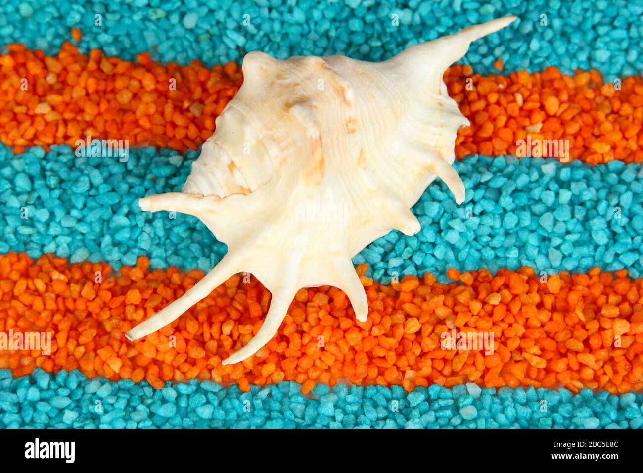 Shell on colorful crystals of sea salt background Stock Photo - Alamy