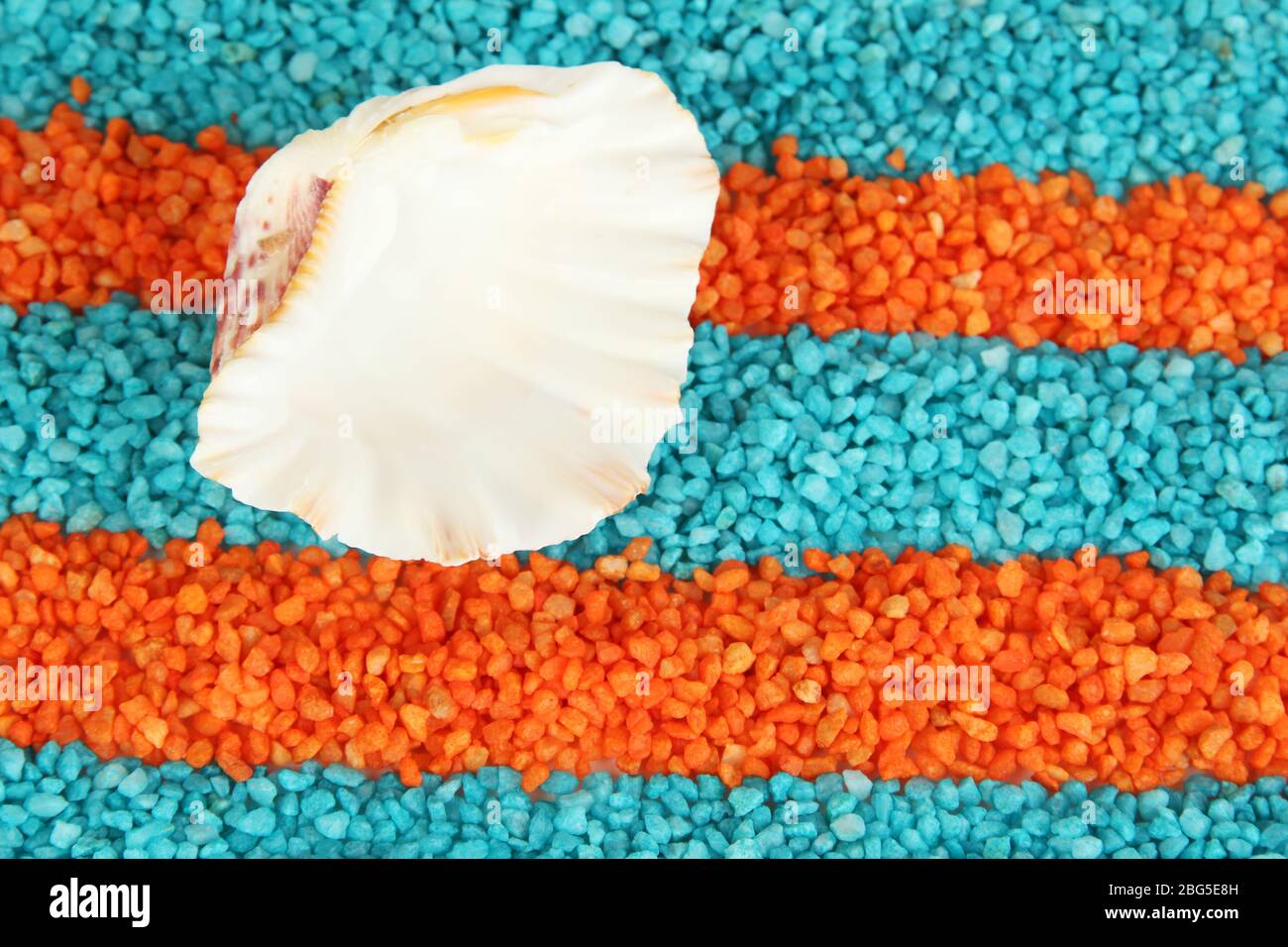 Shell on colorful crystals of sea salt background Stock Photo - Alamy