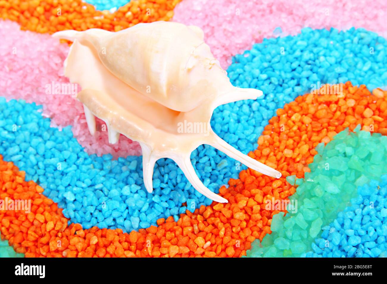 Shell on colorful crystals of sea salt background Stock Photo - Alamy