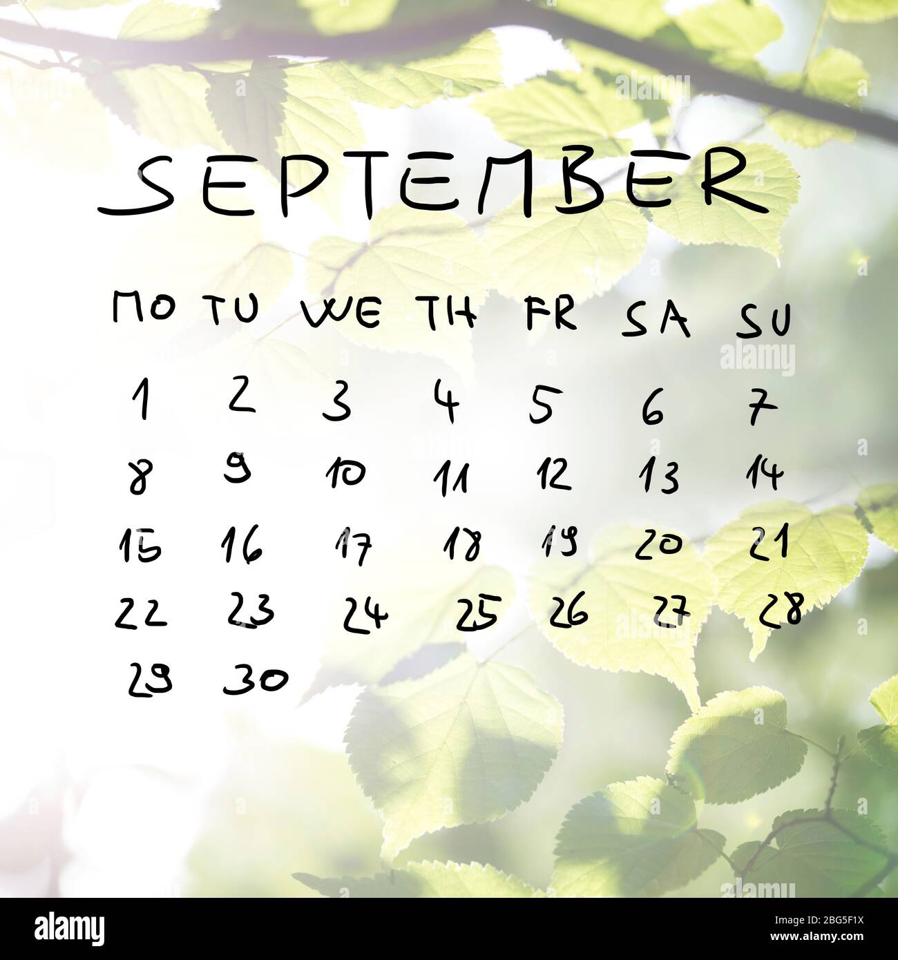 Hand-drawn calendar for the month of September over a faded spring ...