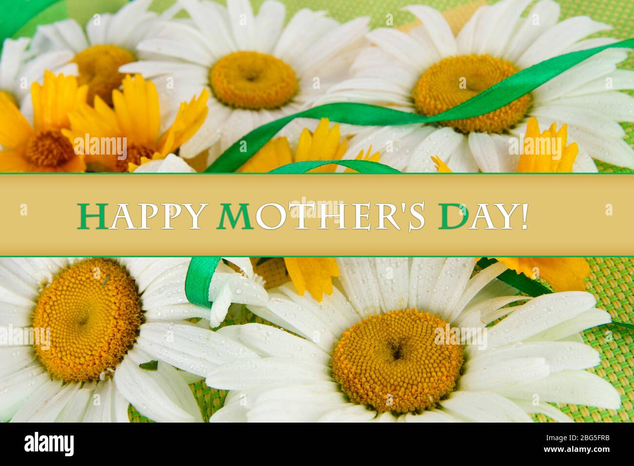Colorful daisies for mother hi-res stock photography and images - Alamy