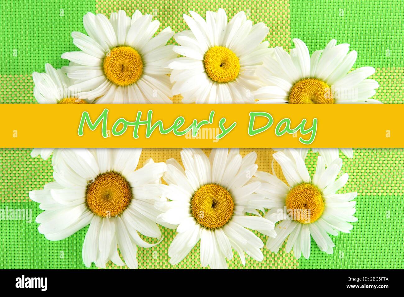 Colorful daisies for mother hi-res stock photography and images - Alamy