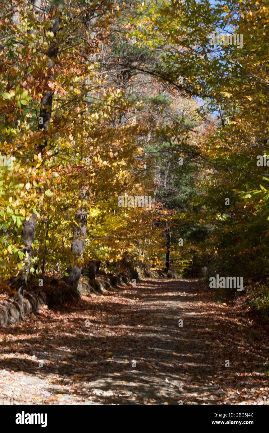 Finger lakes new york road hi-res stock photography and images - Alamy