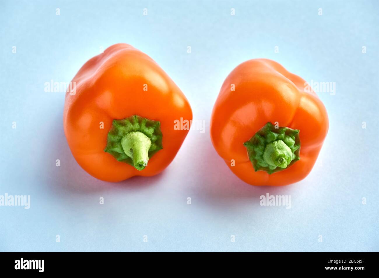 Small bell peppers. Two orange mini peppers on a light blue background ...