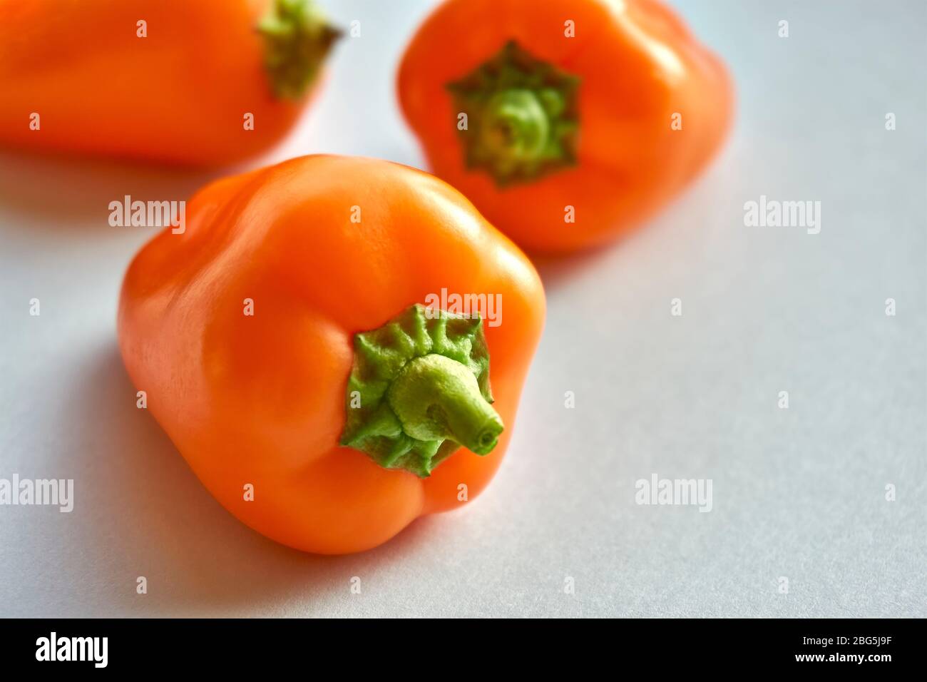 Small bell peppers. Three orange mini peppers on a light blue ...