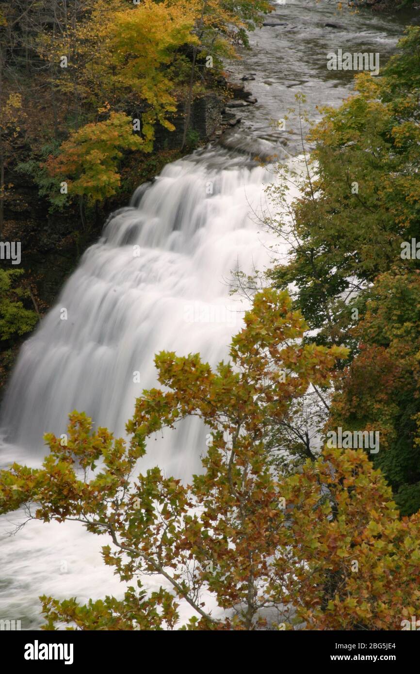 Forest Falls on Ithaca's Fall Creek Stock Photo - Alamy