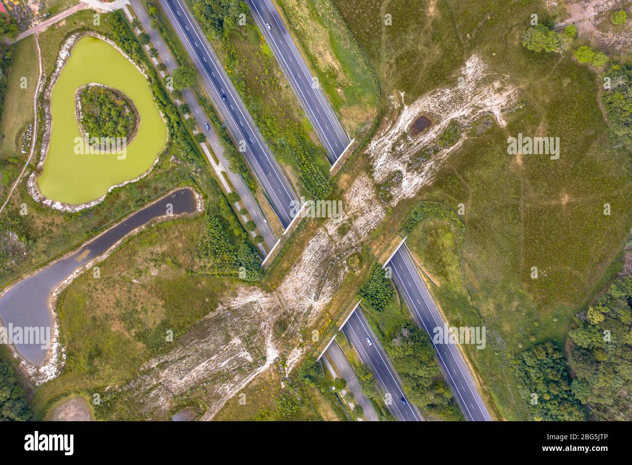 top down Aerial view of Ecoduct wildlife crossing at Dwingelderveld ...