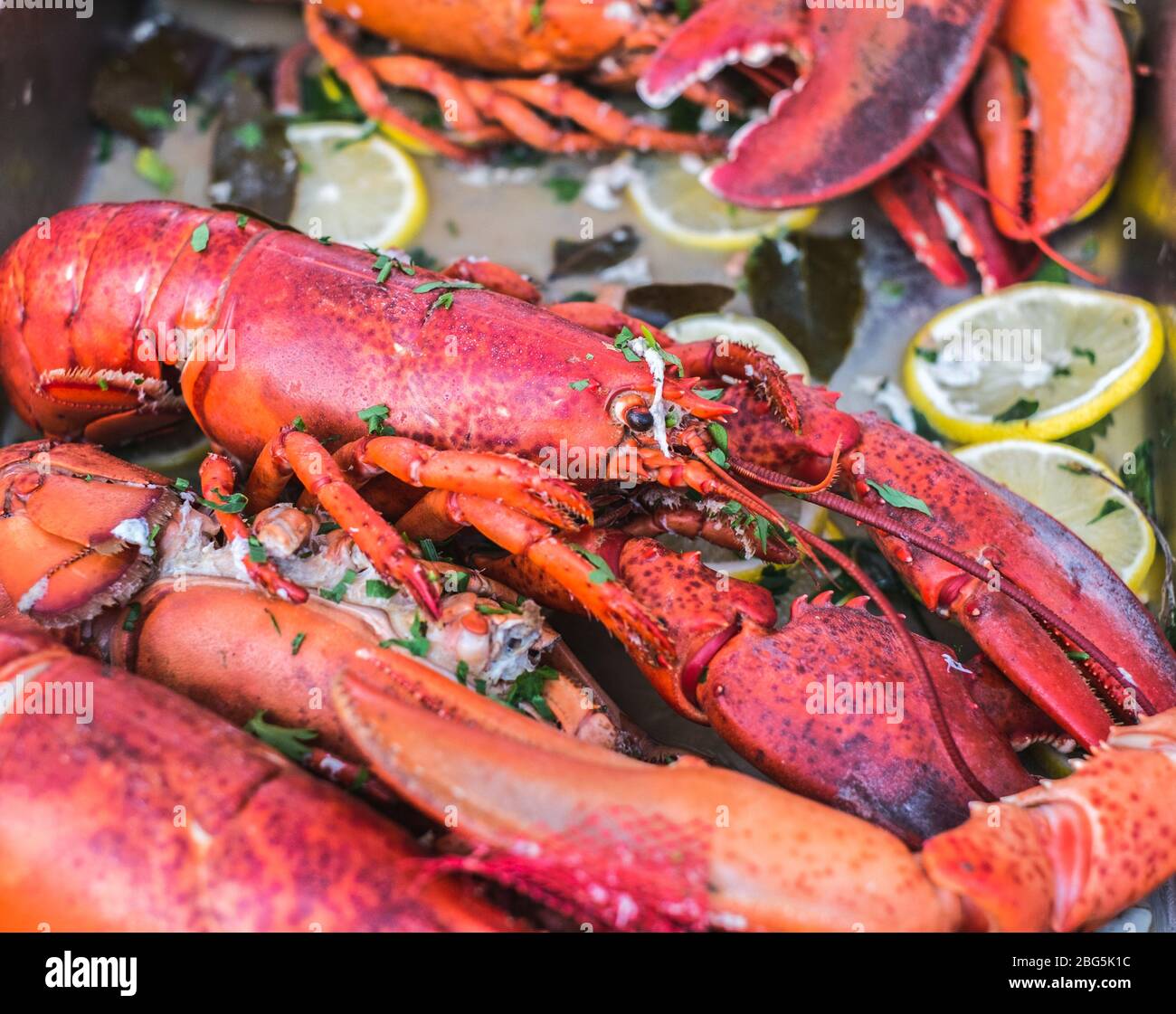 Lobsters on tray hi-res stock photography and images - Alamy