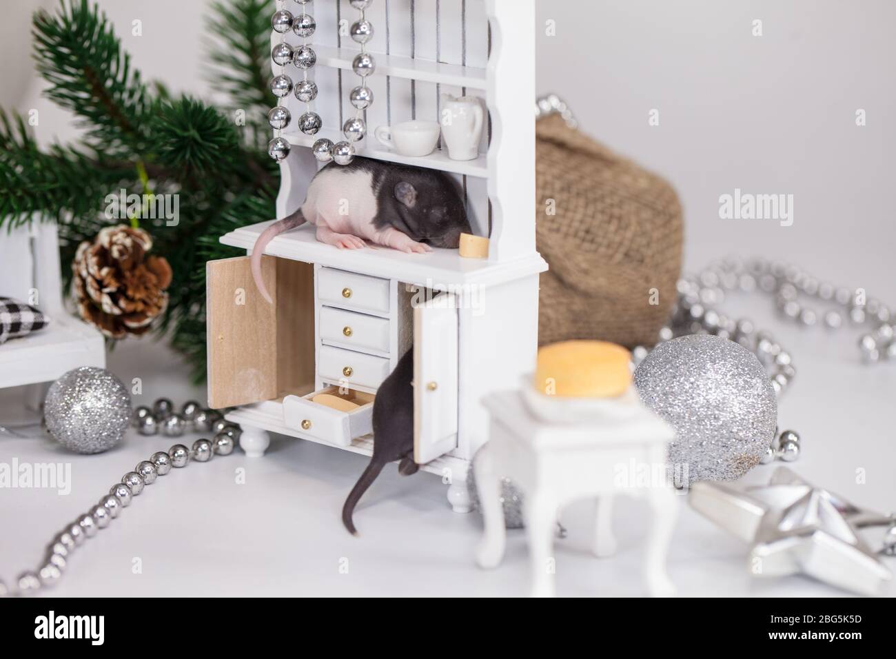 Self isolation concept. Rats children hide in a closet. Fear of an ...