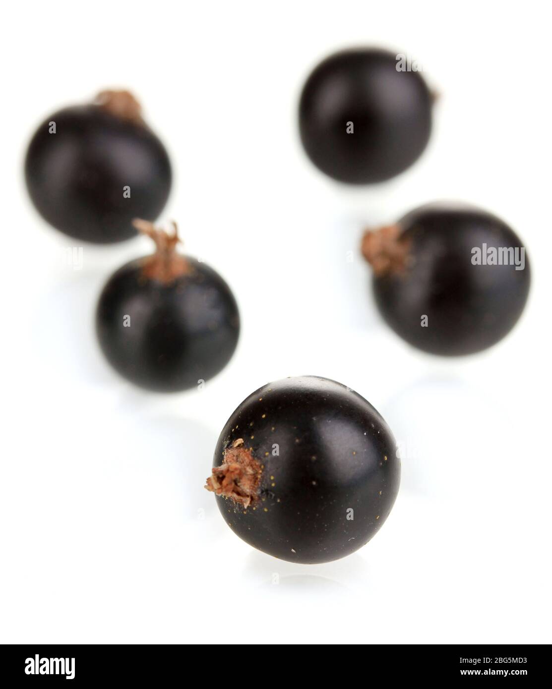 Fresh black currant isolated on white Stock Photo - Alamy