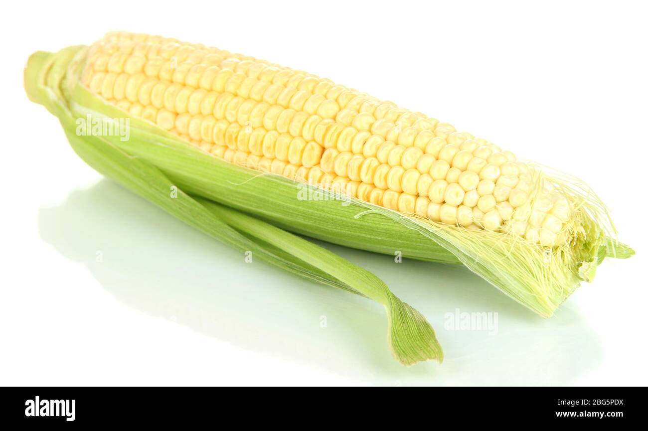 Fresh corn vegetable isolated on white Stock Photo - Alamy