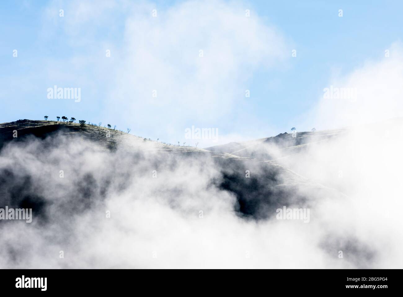 Obscuring view hi-res stock photography and images - Alamy