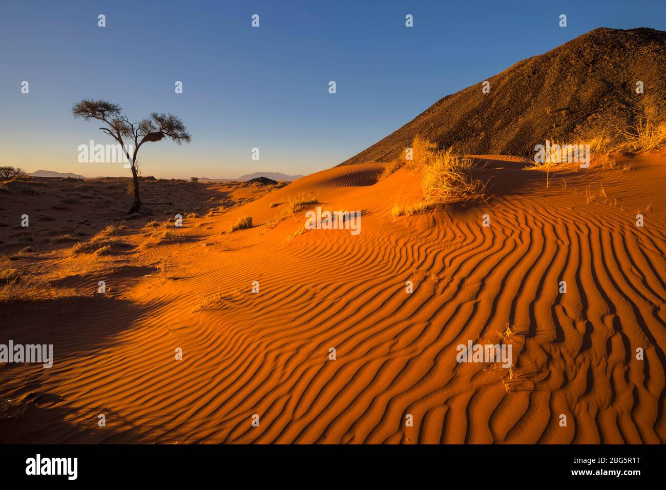 Arid sand and rock country Stock Photo - Alamy