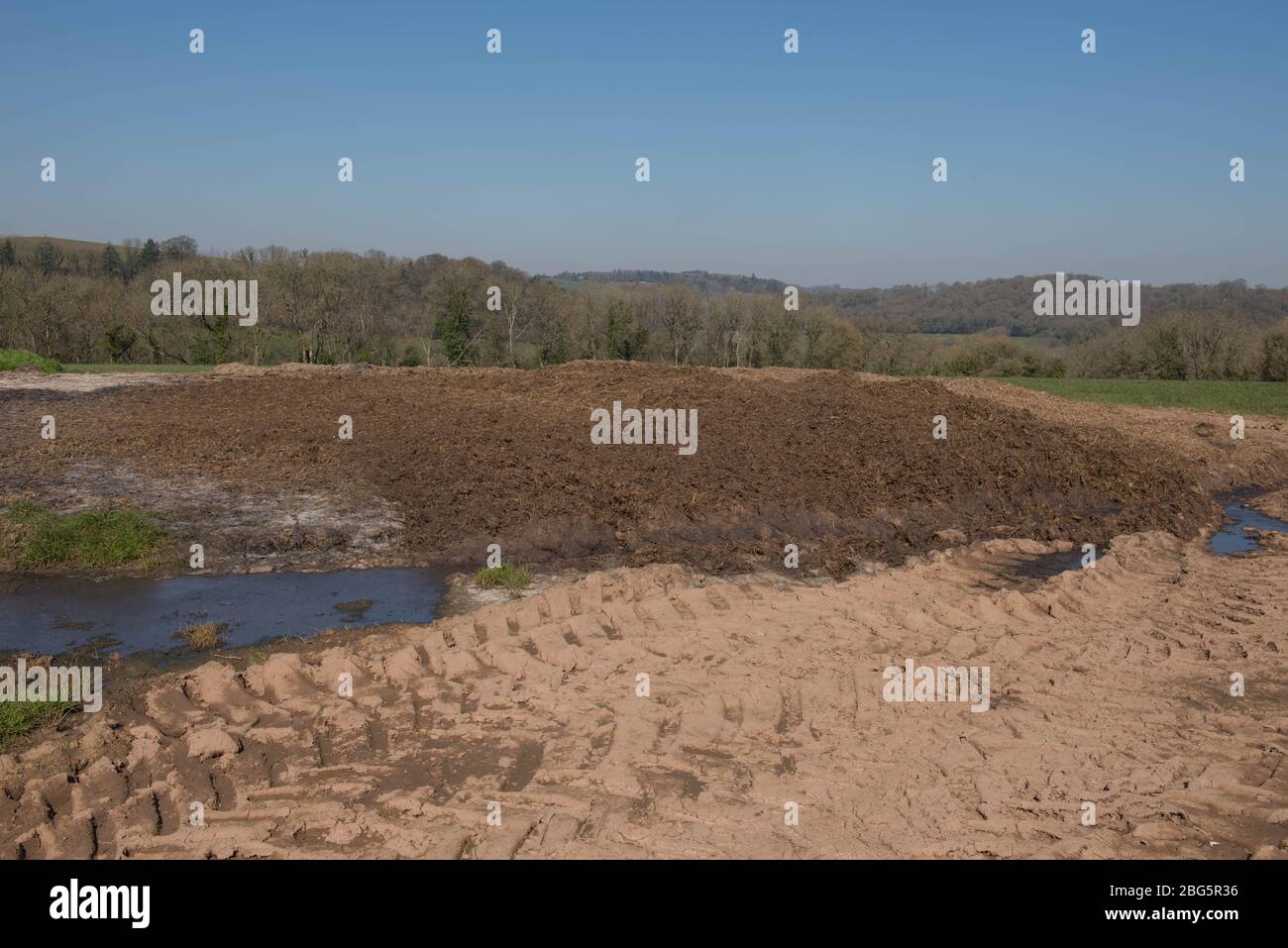 Muck Heap Surrounded by Tractor Tyre Tracks in a Field on a Farm with ...