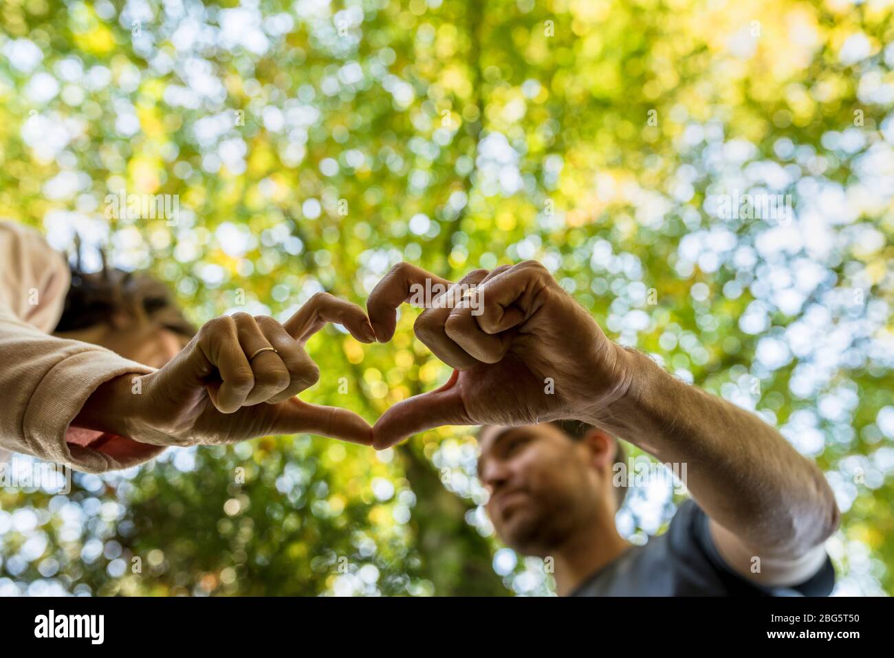 Gesture of trees hi-res stock photography and images - Alamy