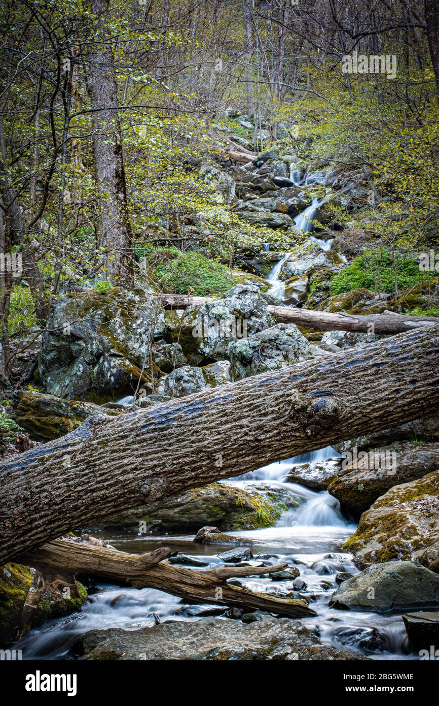 Waterfall and river during spring in Virginia, United States Stock ...