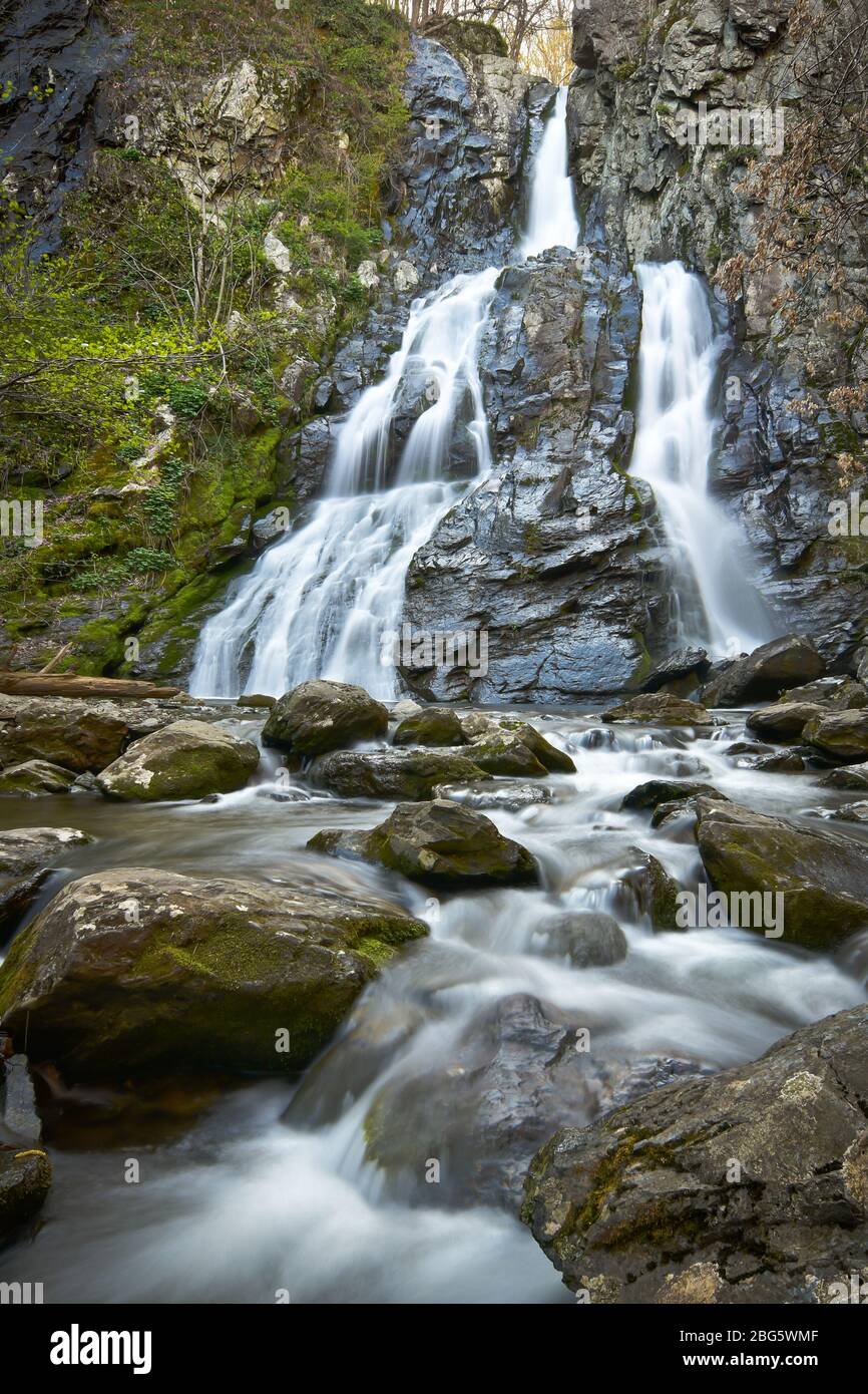 Virginia ecology hi-res stock photography and images - Alamy