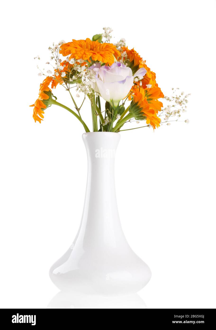 Calendula flowers in vase isolated on white Stock Photo - Alamy