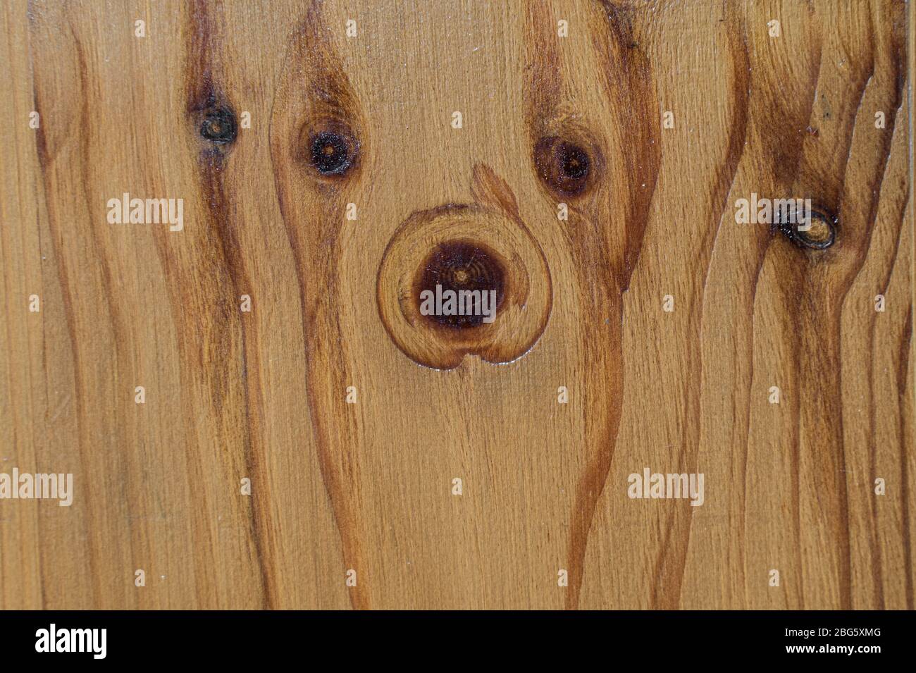 Funny patterned wooden texture closeup. Sawed wood background in shades ...