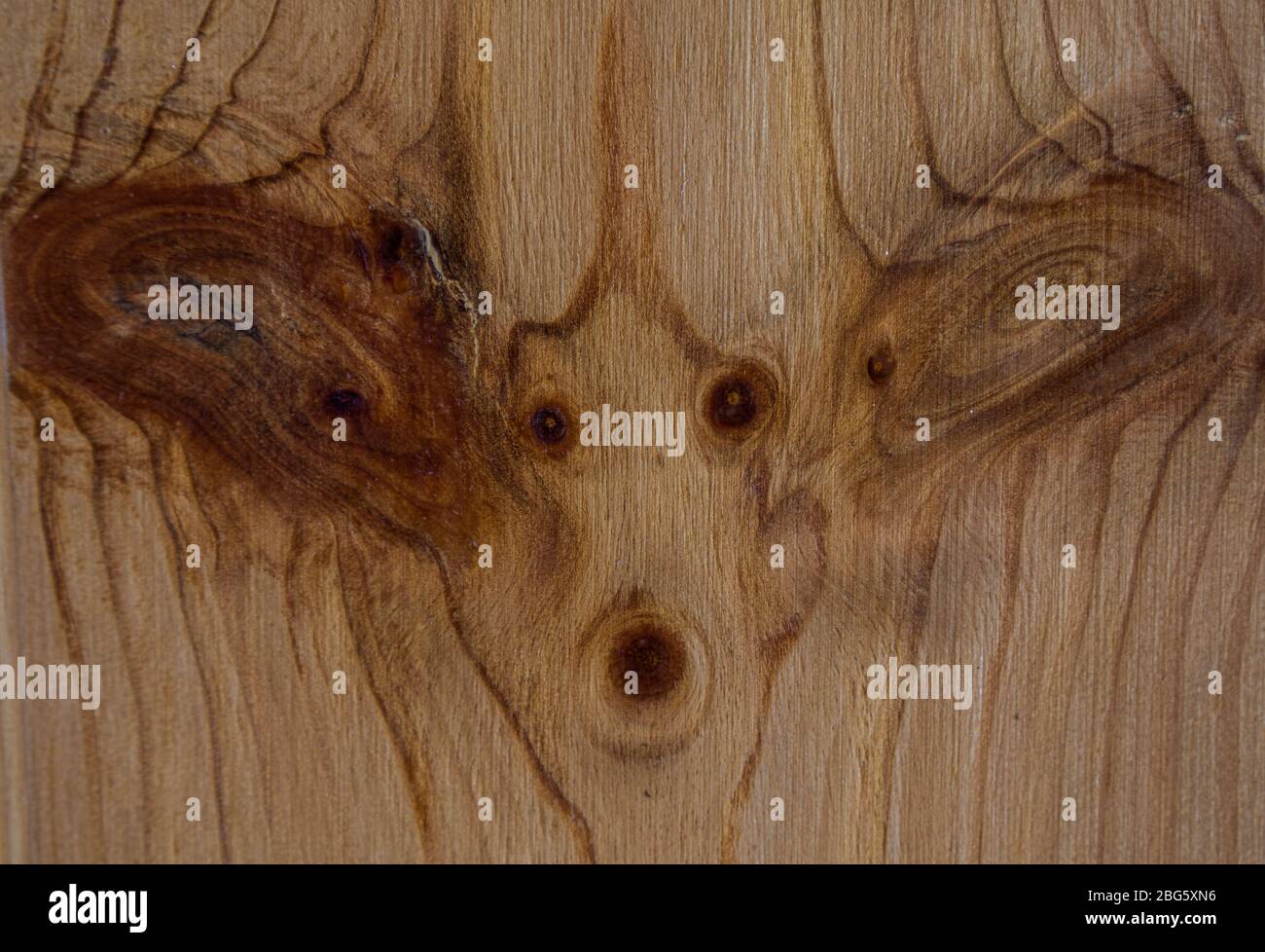 Funny patterned wooden texture closeup. Sawed wood background in shades ...