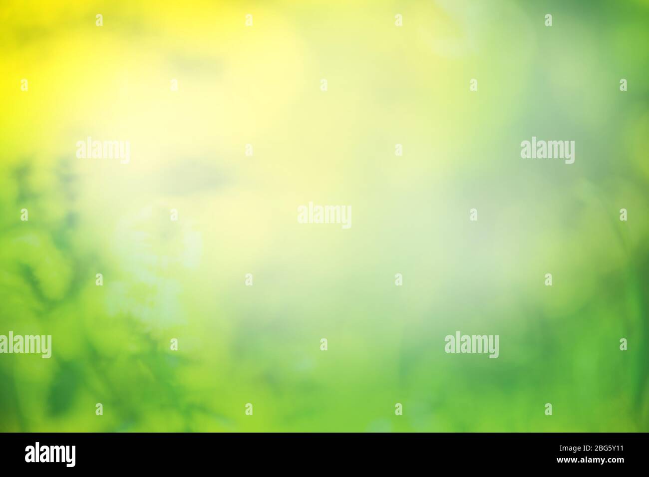 Empty blurred city park background. Green blurred background. Natural ...