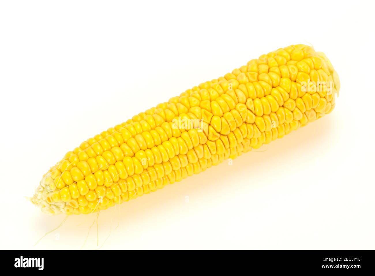 Sweet soft yellow natural corn for cooking Stock Photo - Alamy
