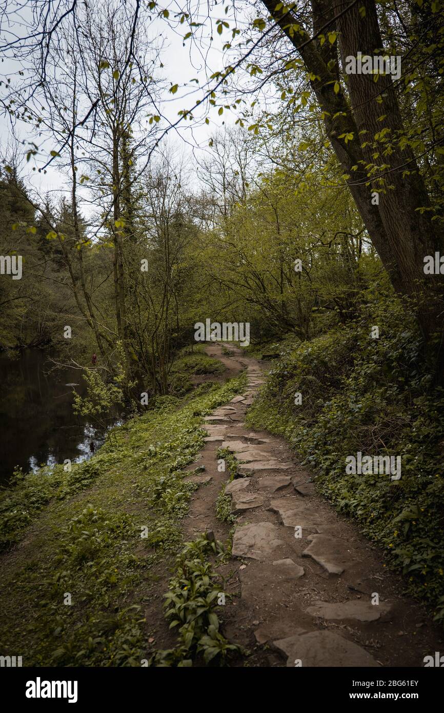 An old stone path in the countryside at the side of a river bank Stock ...