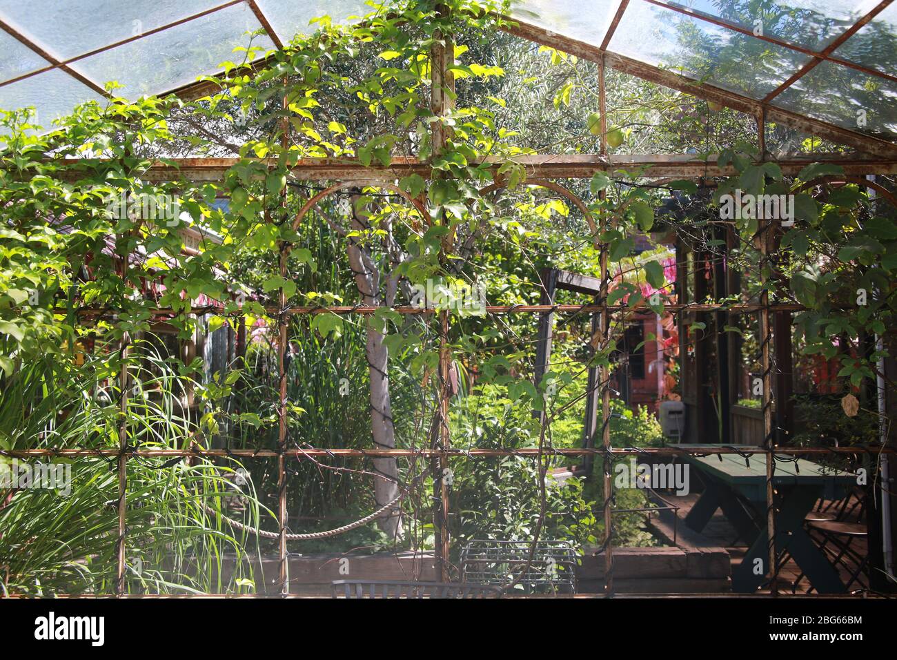 The Grounds of Alexandria, Huntley Street, Alexandria, Sydney ...