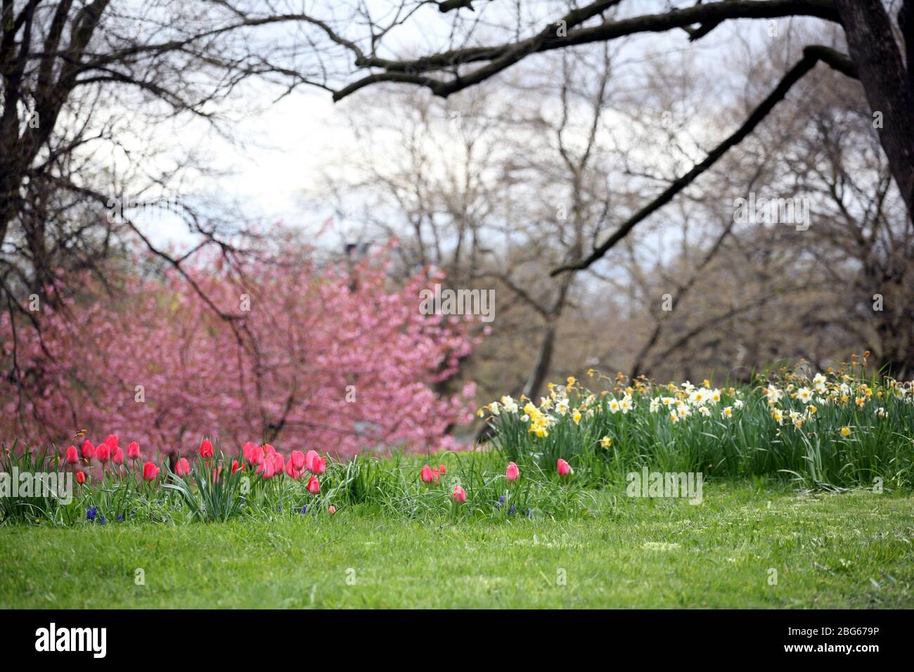 Crotona Park, The Bronx, NY USA Stock Photo - Alamy