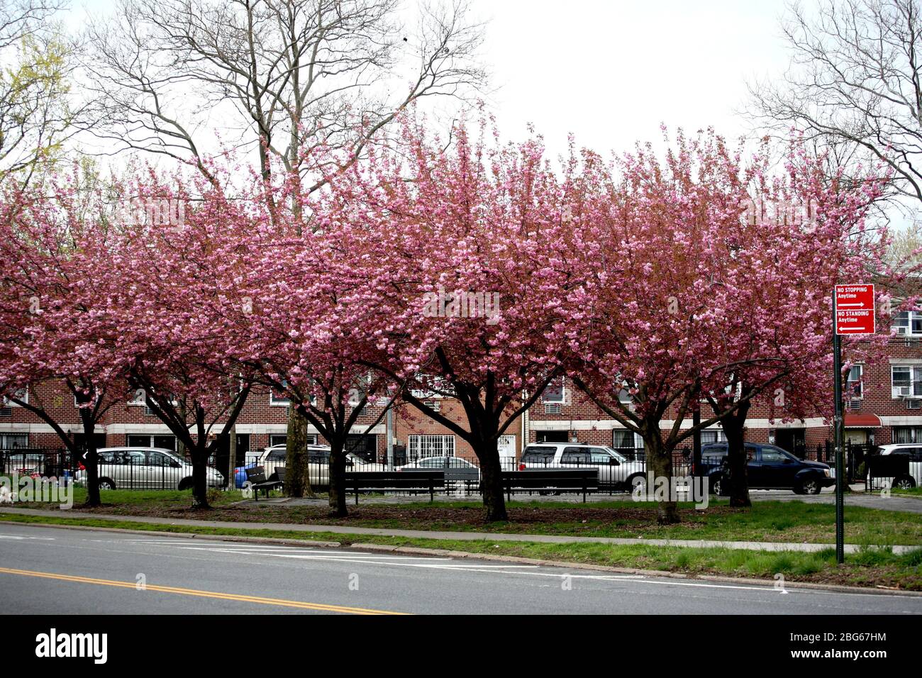Crotona Park, The Bronx, NY USA Stock Photo - Alamy