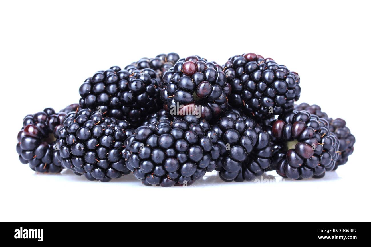 Sweet blackberry isolate on hi-res stock photography and images - Alamy