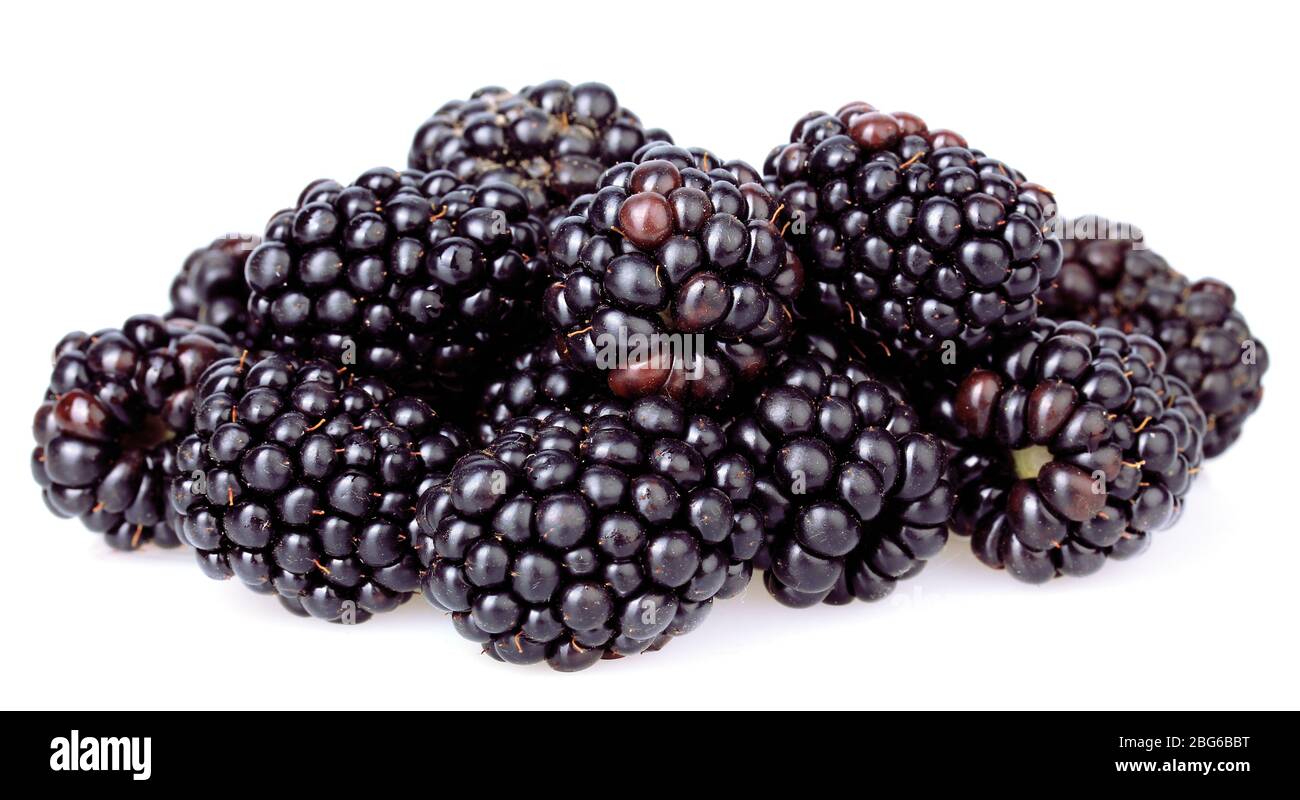 Sweet blackberry isolate on hi-res stock photography and images - Alamy