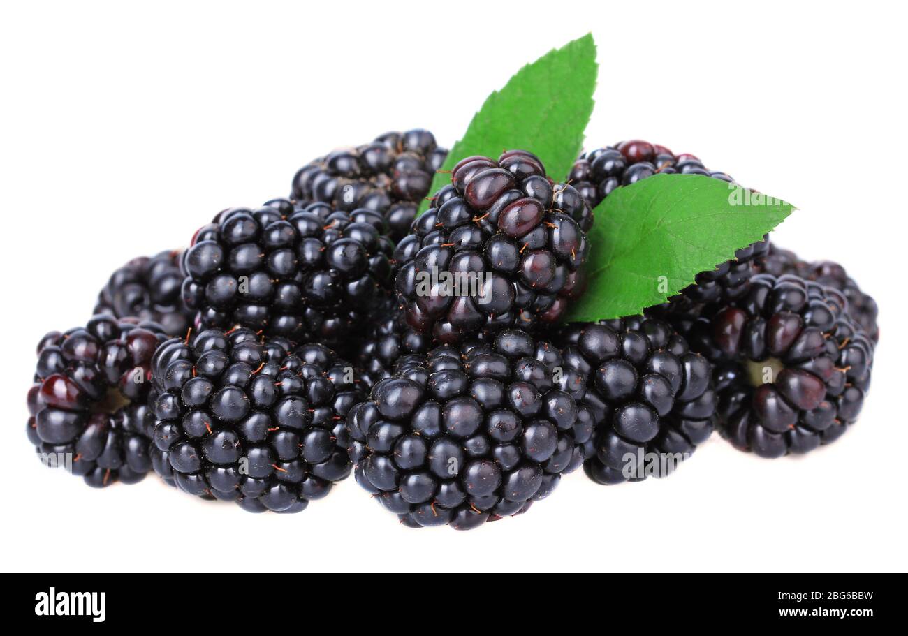 Sweet blackberries isolate on white Stock Photo - Alamy