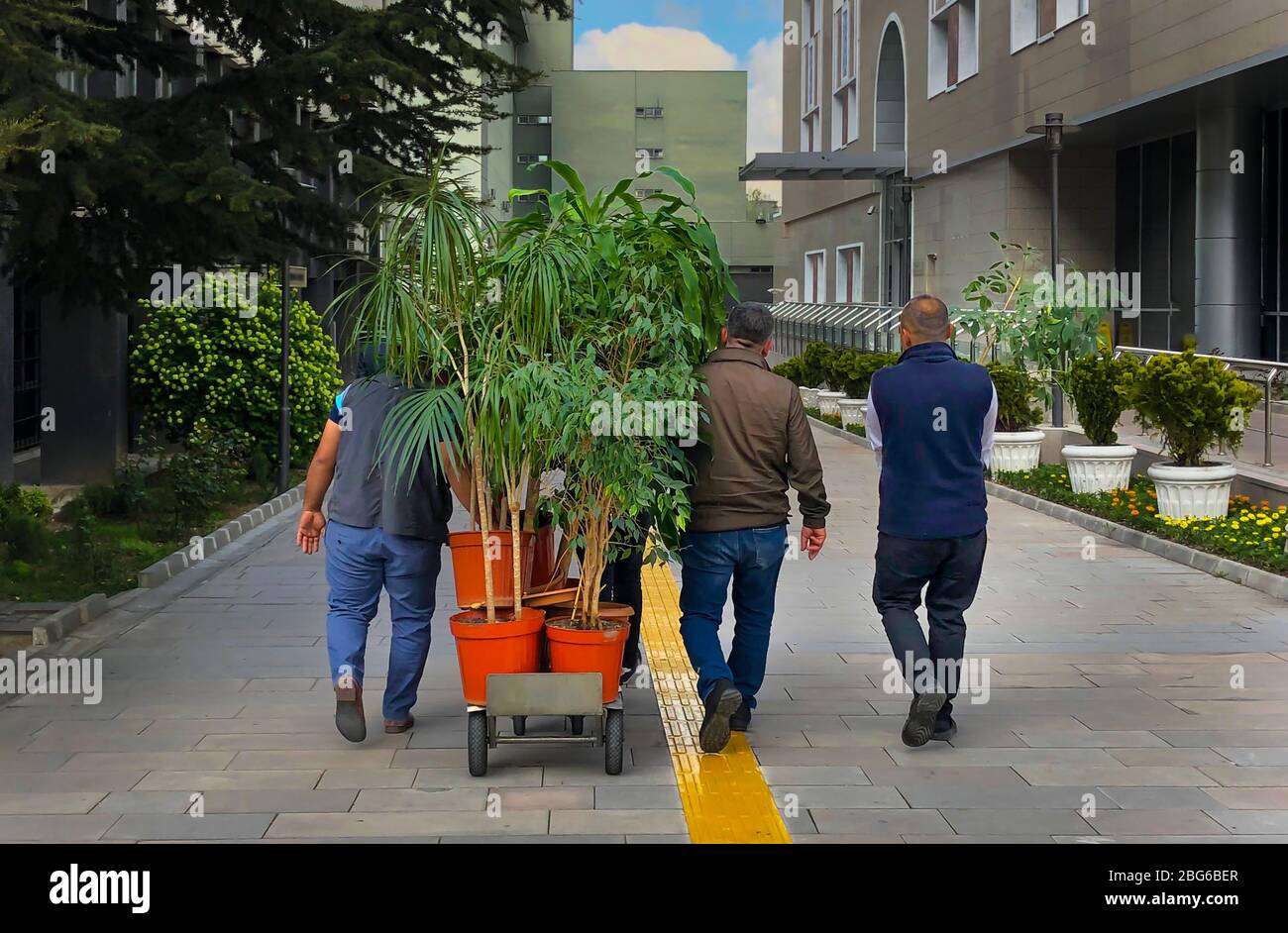 Carry palm branches hi-res stock photography and images - Alamy