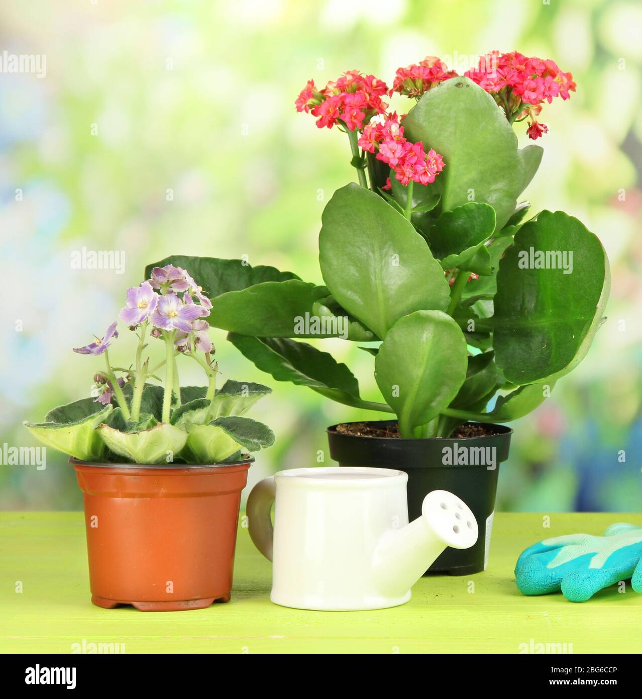 Beautiful flowers in pots on wooden table on natural background Stock ...