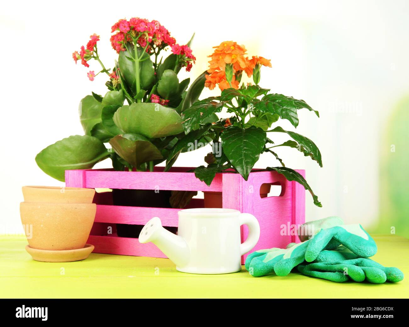 Beautiful flowers in pots on wooden table on natural background Stock ...