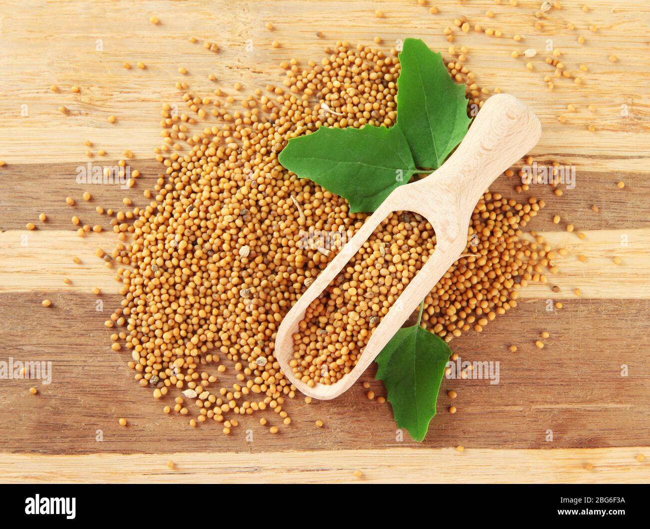 Mustard seeds leaves on hi-res stock photography and images - Alamy