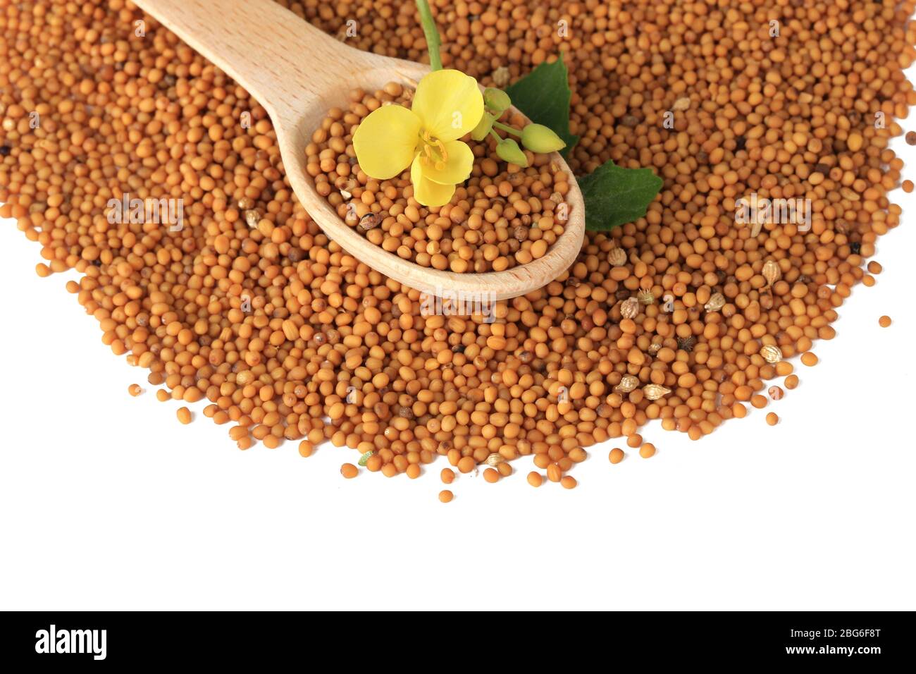 Mustard seeds with mustard flower isolated on white Stock Photo - Alamy