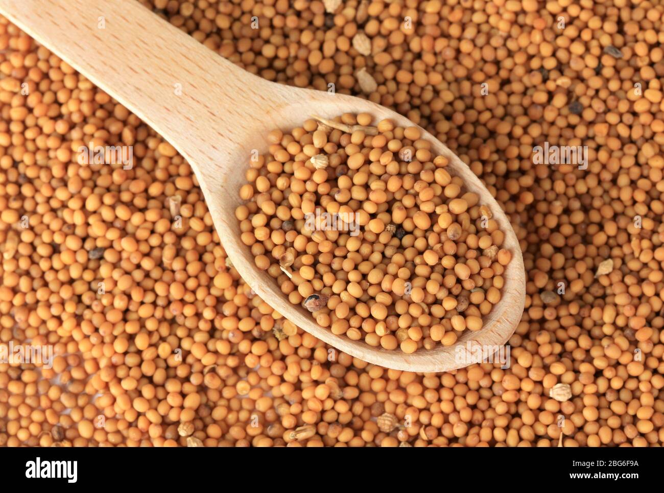 Mustard seeds, close up Stock Photo - Alamy