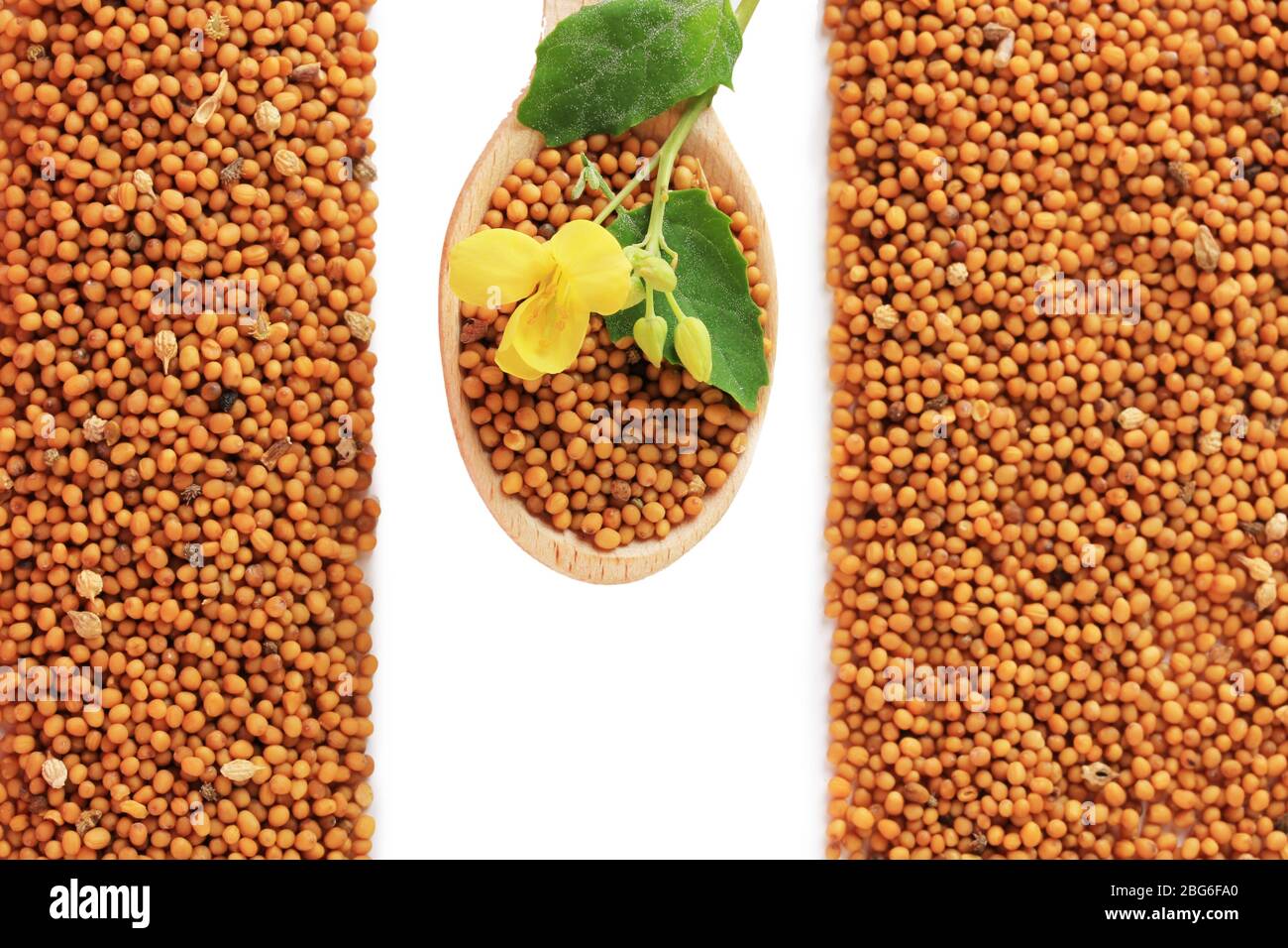 Mustard seeds with mustard flower isolated on white Stock Photo - Alamy