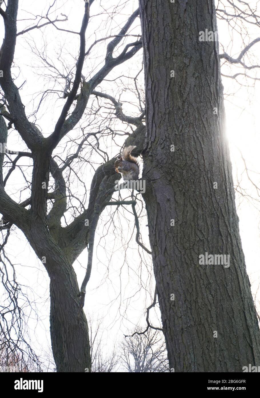 High and dray hi-res stock photography and images - Alamy