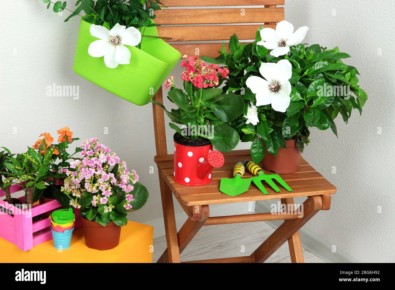 Many beautiful flowers on chair in room close-up Stock Photo - Alamy