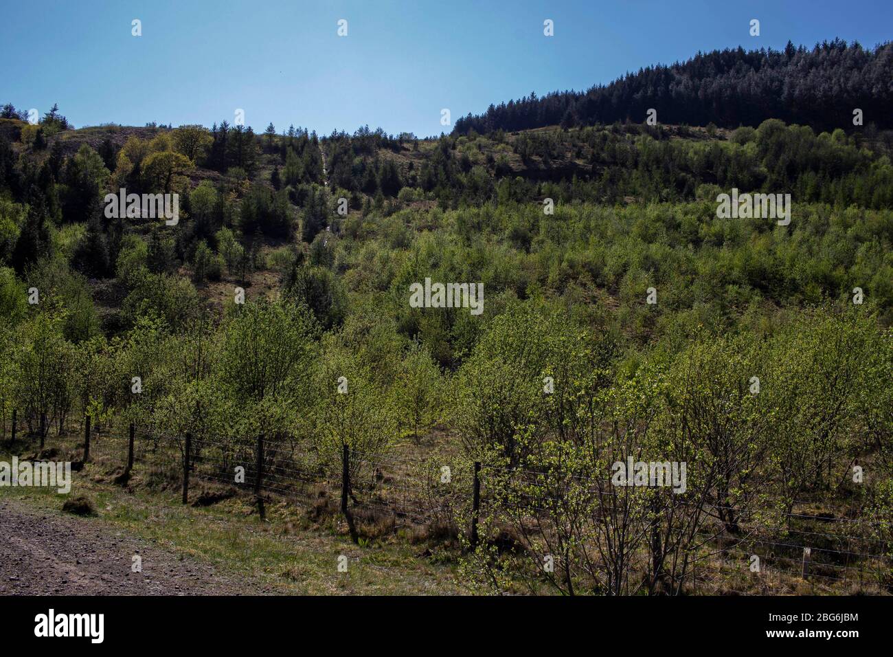 Garw valley hi-res stock photography and images - Alamy
