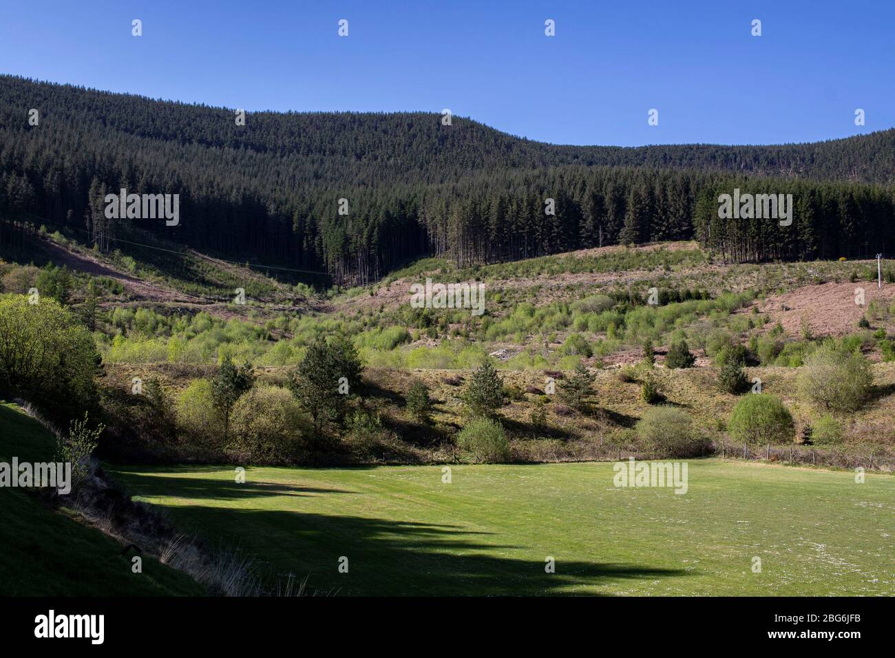 Garw hi-res stock photography and images - Alamy
