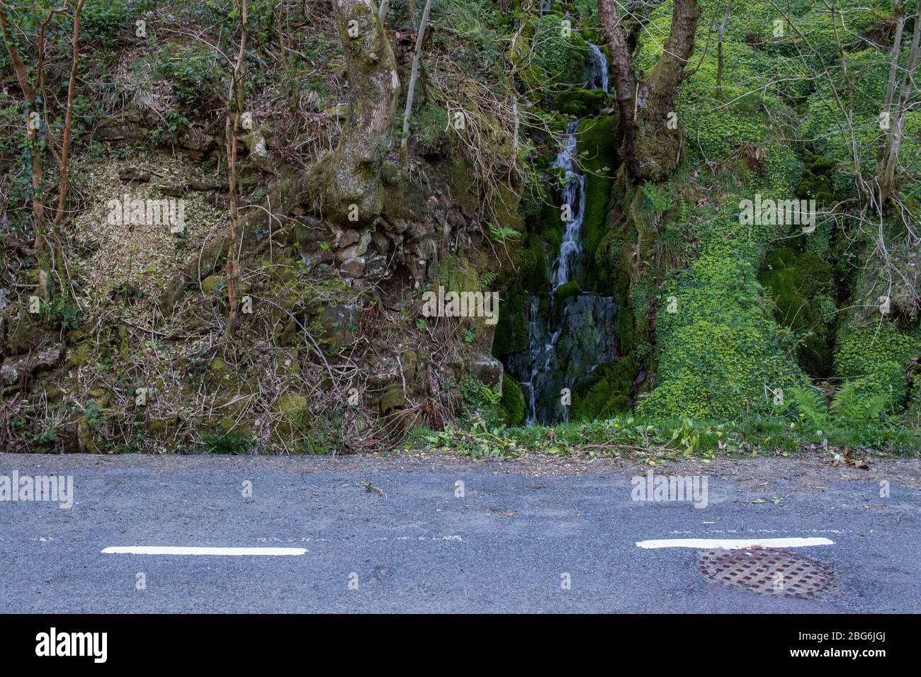 A view of a stream near the Garw Valley cycle path at Pont-Rhyl ...