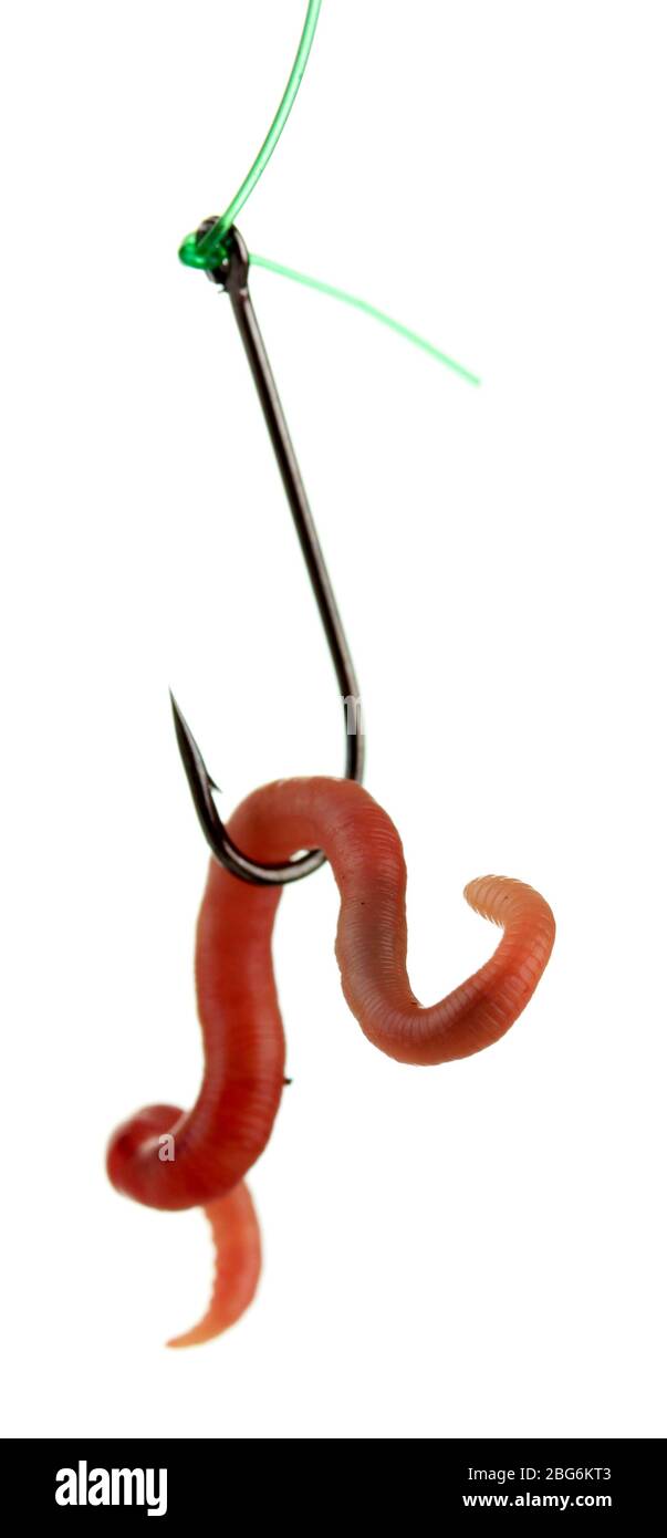 Fishing Hook With Worm