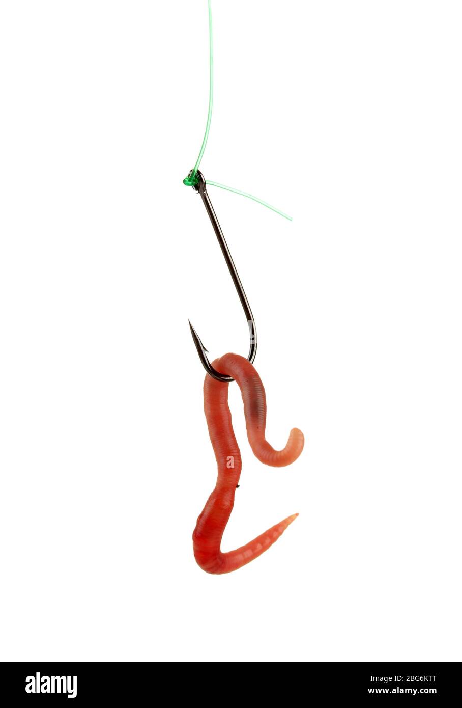 Fish hook with worm isolated on white background Stock Photo - Alamy