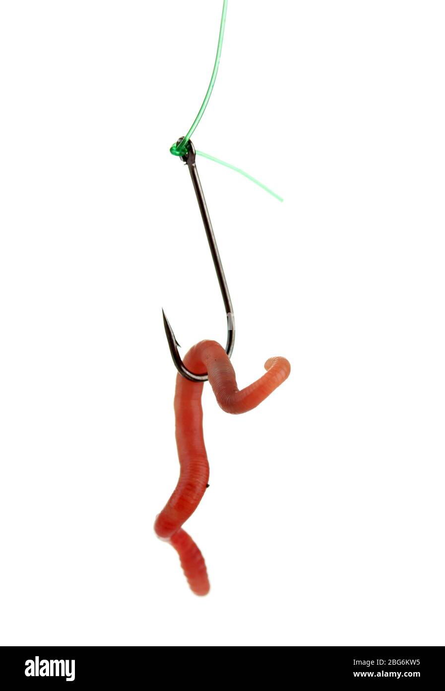 Fish hook with worm isolated on white background Stock Photo - Alamy
