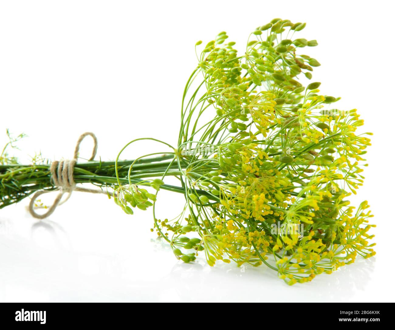 Fresh dill flowers, isolated on white Stock Photo - Alamy
